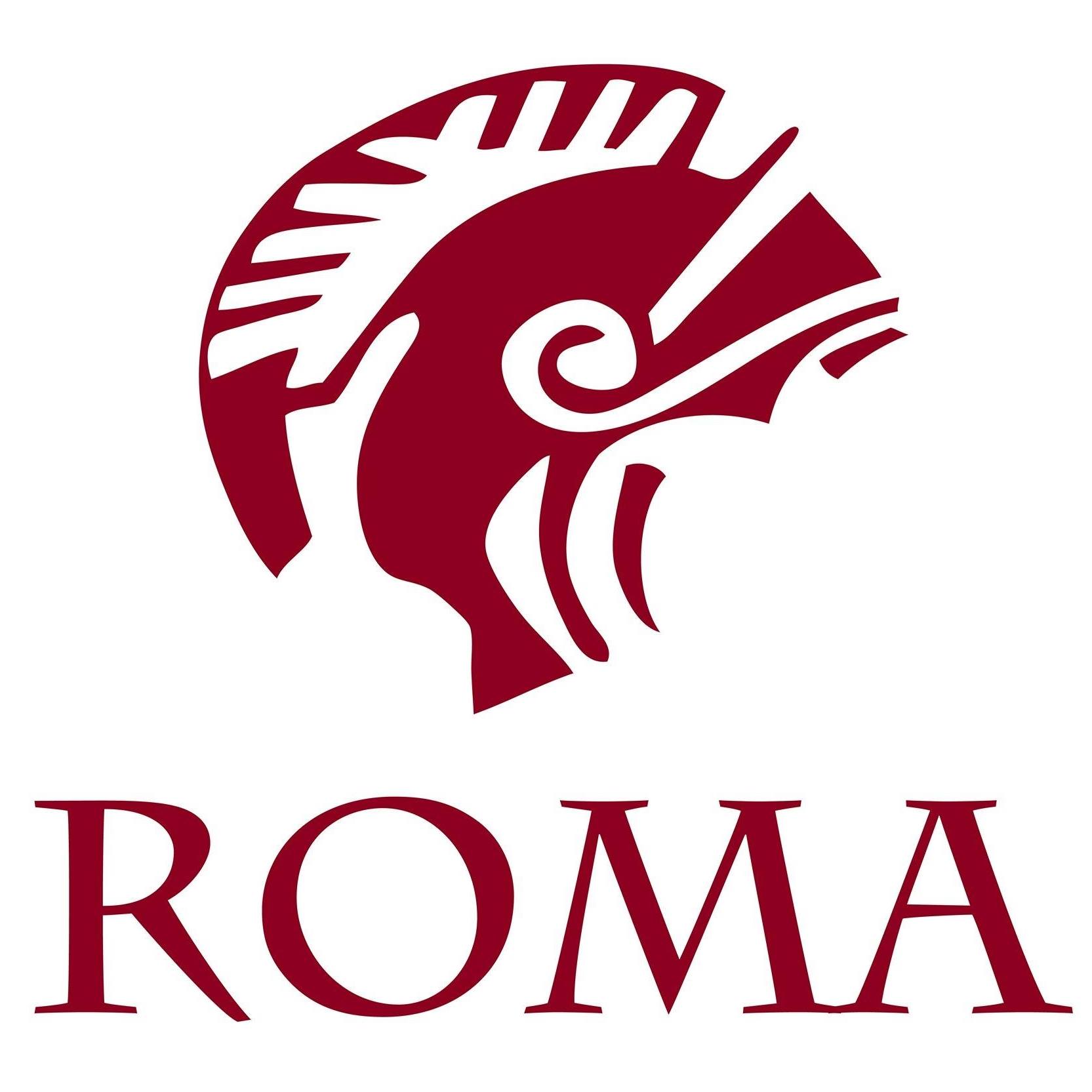 Roma Green Finance (ROMA) Stock Quote, Chart & News